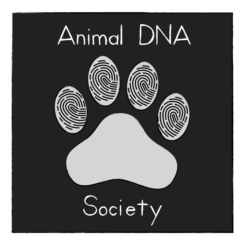 LITTLE LUVIMALS - Home